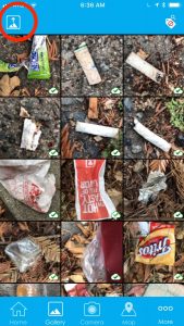How Does Littering Affect The Environment? (and a few solutions)