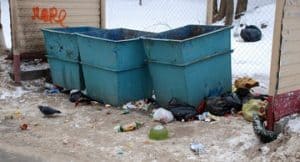 How Does Littering Affect The Environment? (and a few solutions ...