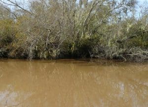 The Effects of Soil Erosion on the Environment (Causes, Effects and ...